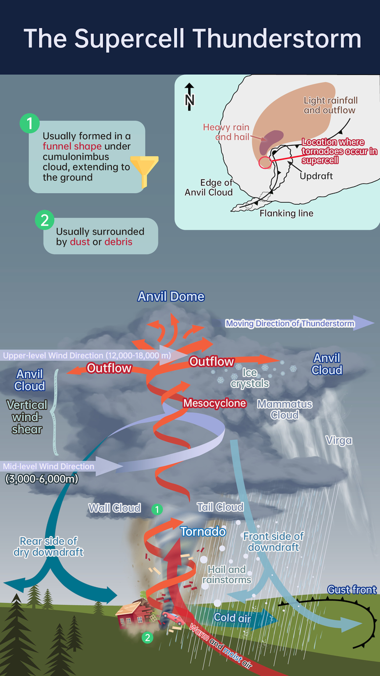 Infographic - Tornado and Waterspout｜Hong Kong Observatory(HKO)｜Educational Resources